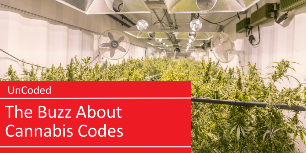 uncoded - TERPconsulting